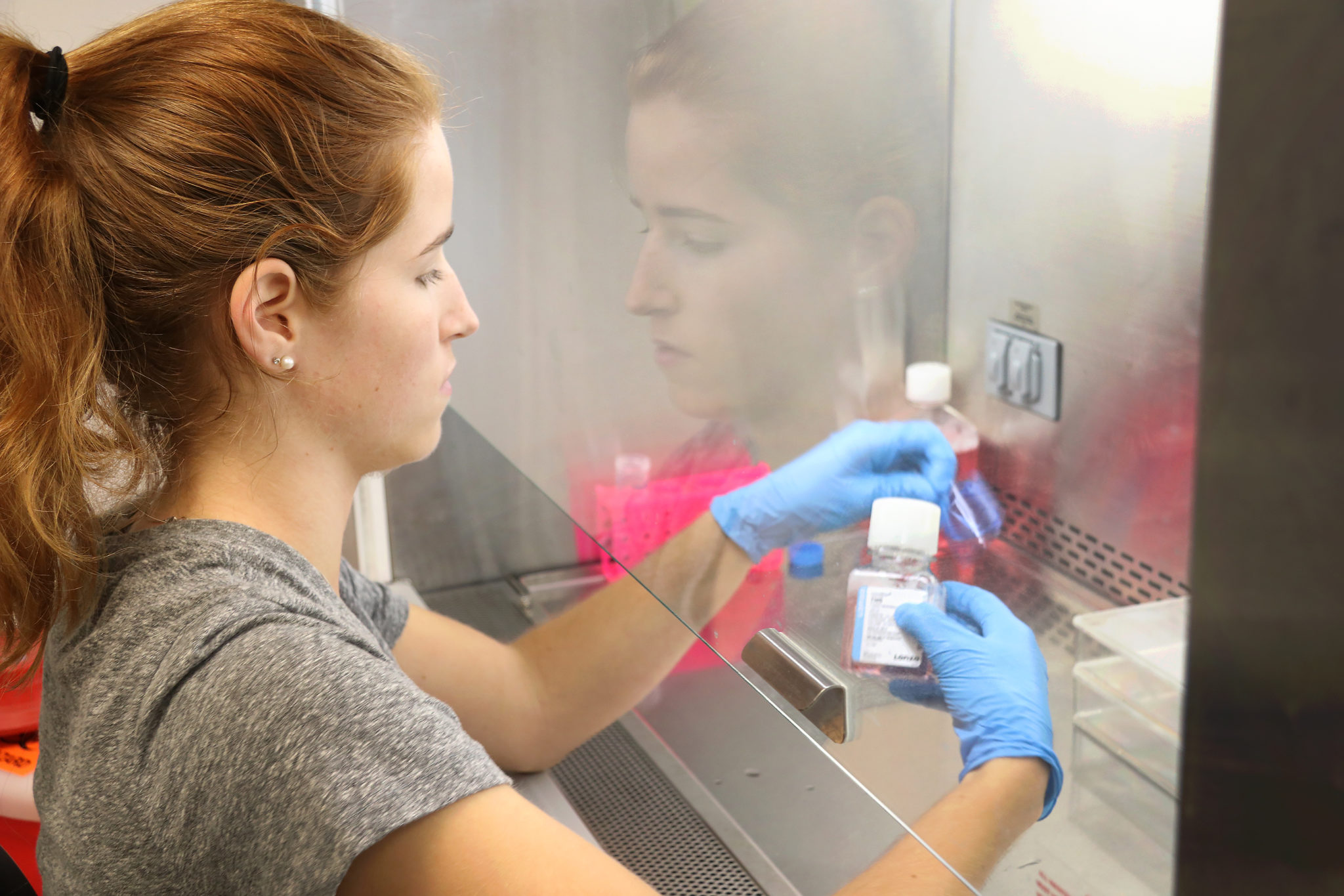 Sponsored Senior Design Projects – Biomedical Engineering